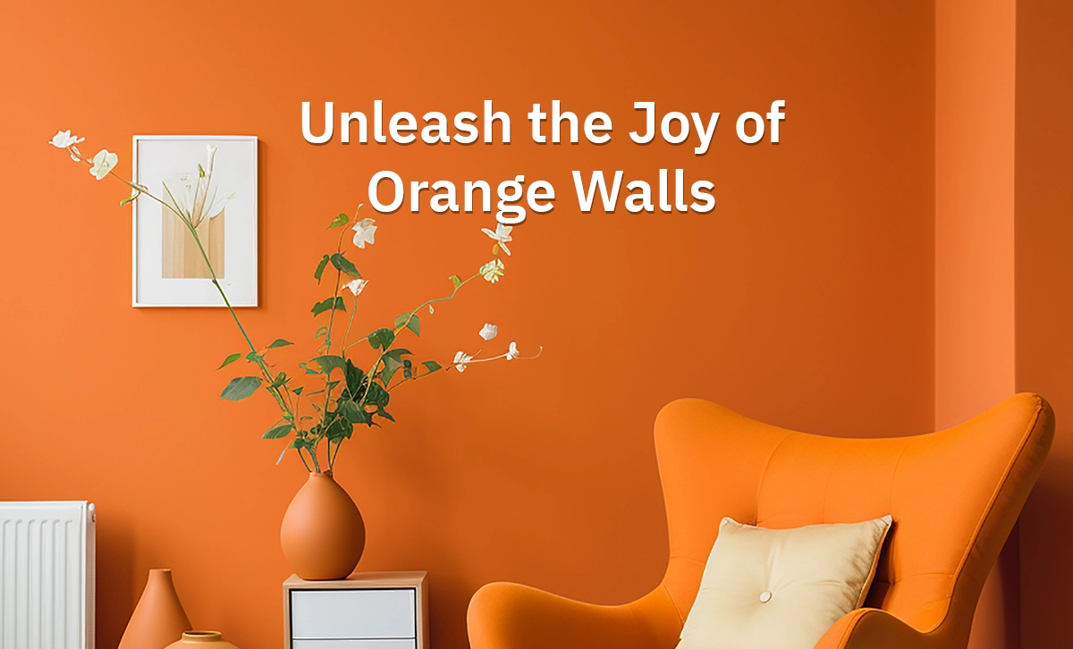 JKMaxx Paints: Best Wall Paints and Colour Combinations